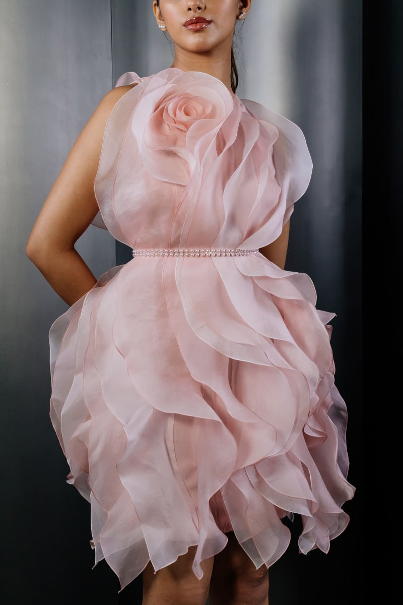 Buy Quartz pink 3D rose ruffled dress by Shriya Som at Aashni and Co